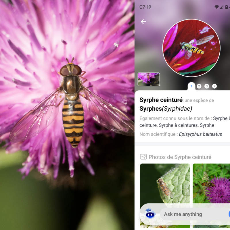Animateur-nature.com : Connaissances et outils pour l'EEDD