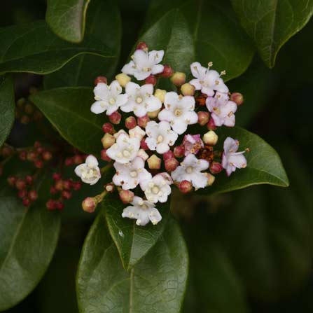 Animateur-nature.com : Connaissances et outils pour l'EEDD