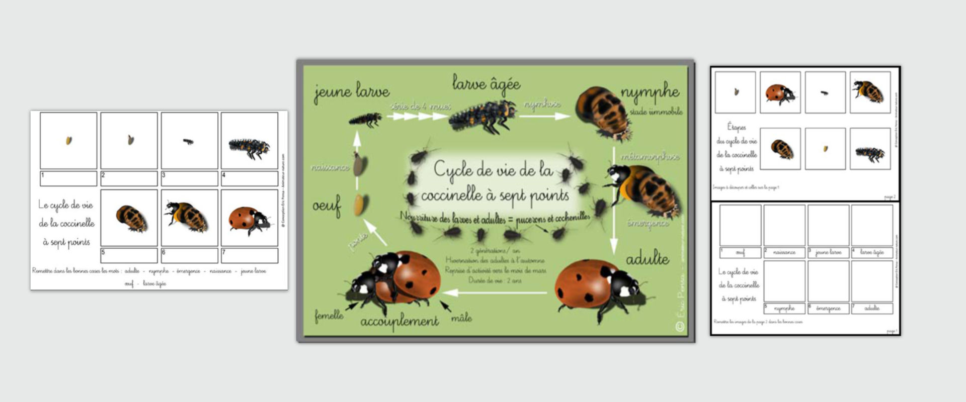 Animateur-nature.com : Connaissances et outils pour l'EEDD